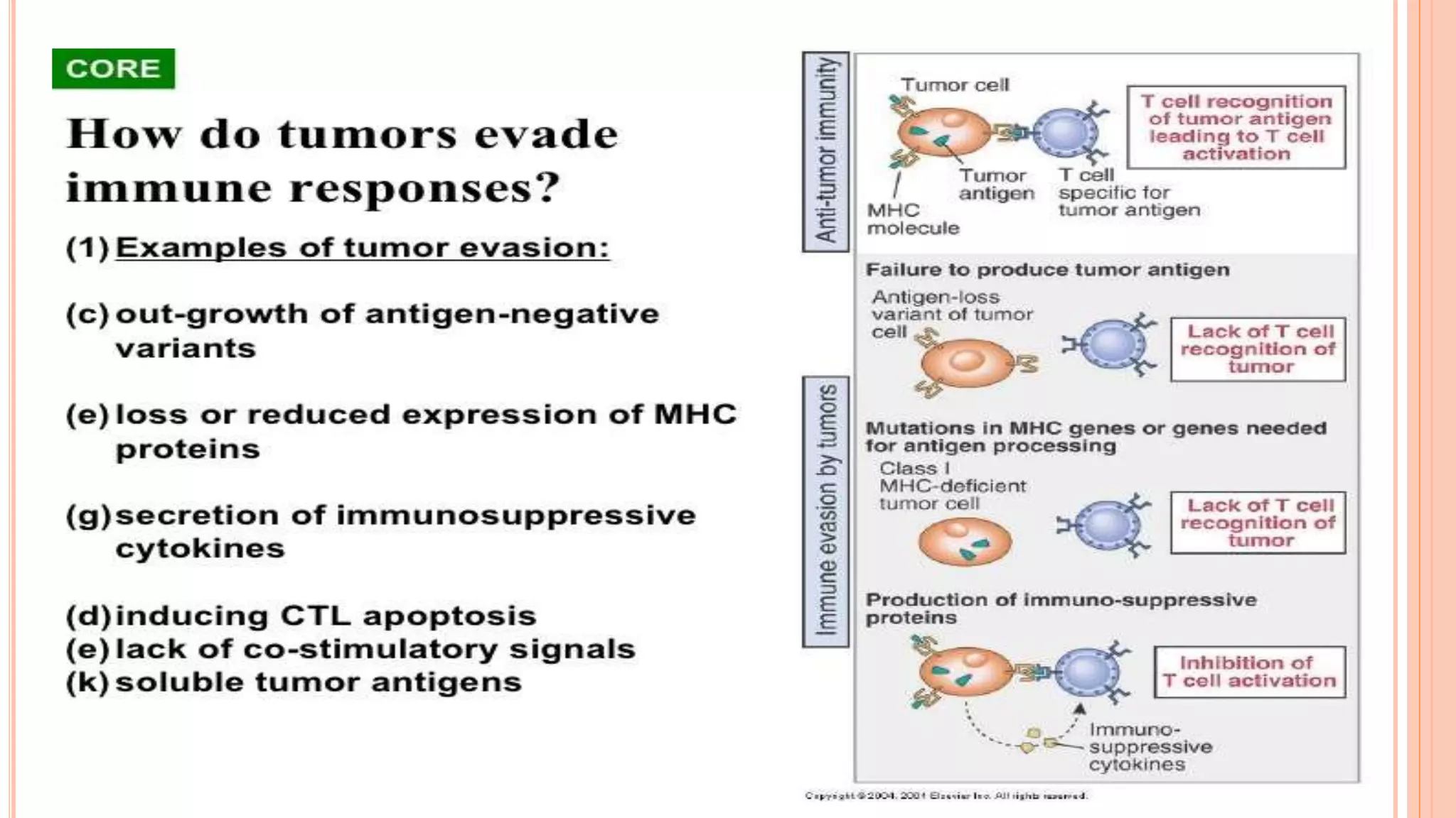 Immune Escape Mechanisms of Cancers and High Grade Glial Tumors | PPTX