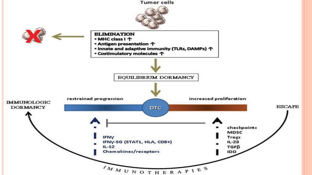 Immune Escape Mechanisms of Cancers and High Grade Glial Tumors | PPTX ...