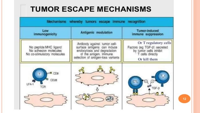 Immune Escape Mechanisms of Cancers and High Grade Glial Tumors | PPTX ...