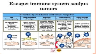 Immune Escape Mechanisms of Cancers and High Grade Glial Tumors | PPTX