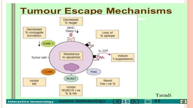 Immune Escape Mechanisms of Cancers and High Grade Glial Tumors | PPTX ...