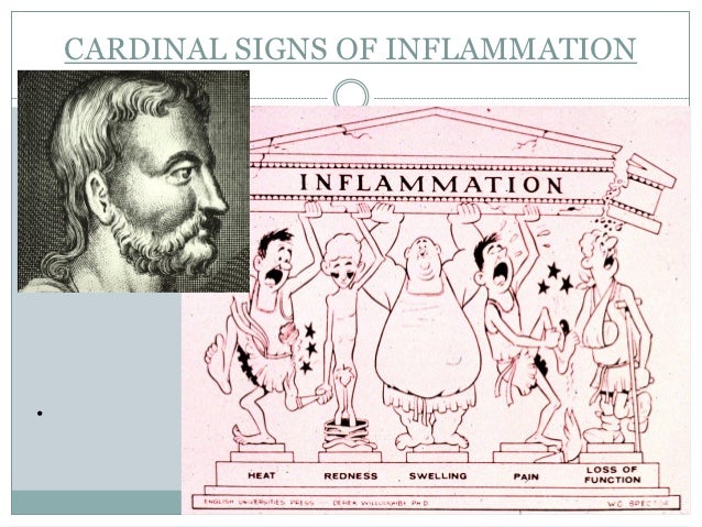 1. inflammation with vascular events dr ashutosh kumar 1. inflammation with vascular events dr ashutosh kumar