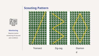 1 - Integrated Plant Pest and Diseases Management.pptx