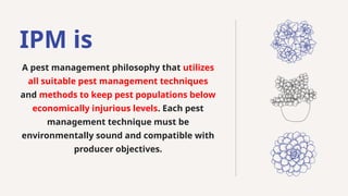 1 - Integrated Plant Pest and Diseases Management.pptx