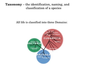 Taxonomy | PPT