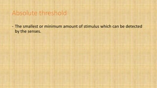 Sensation and Perception | PPTX