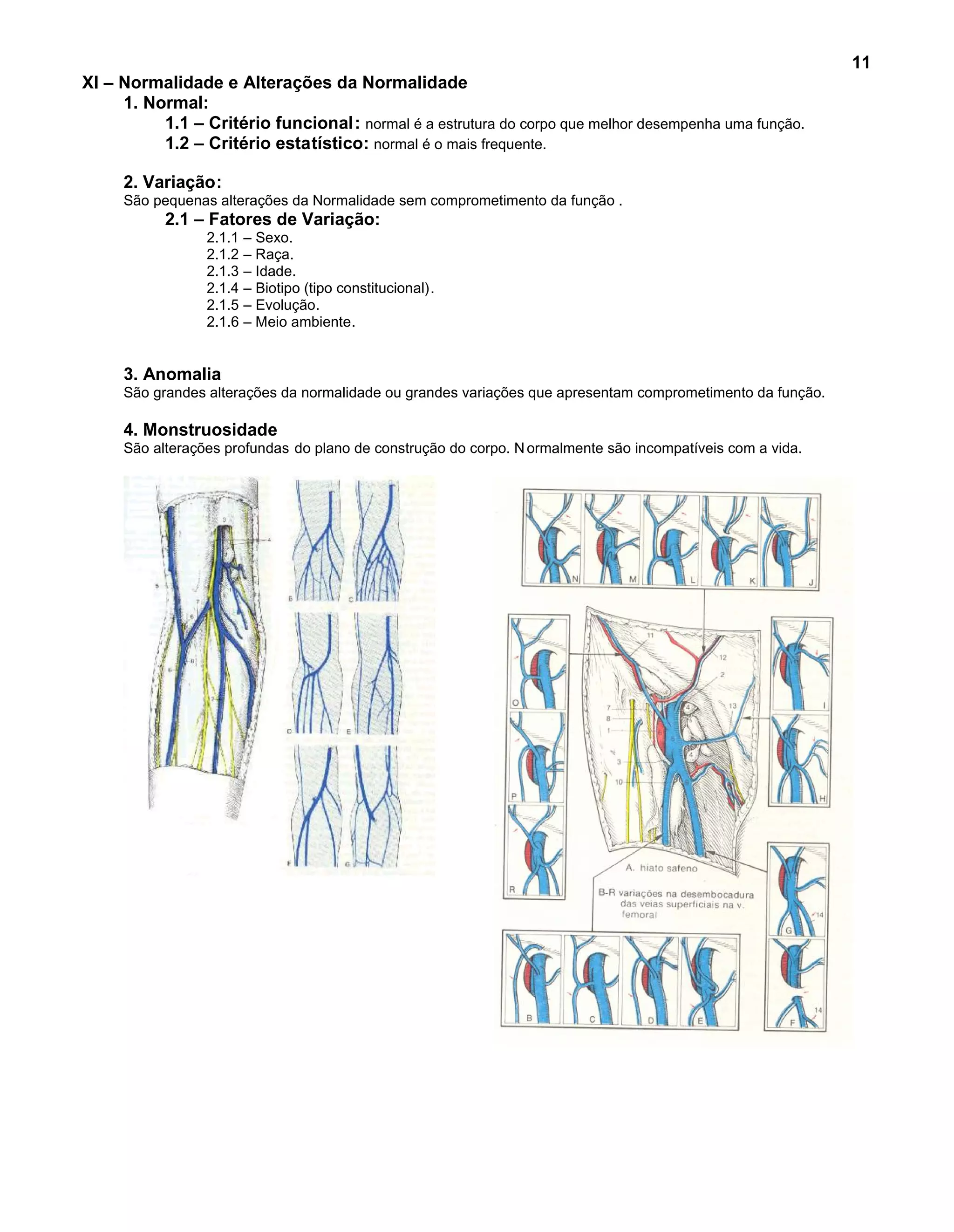 Introdução ao Estudo da Anatomia Humana | PDF