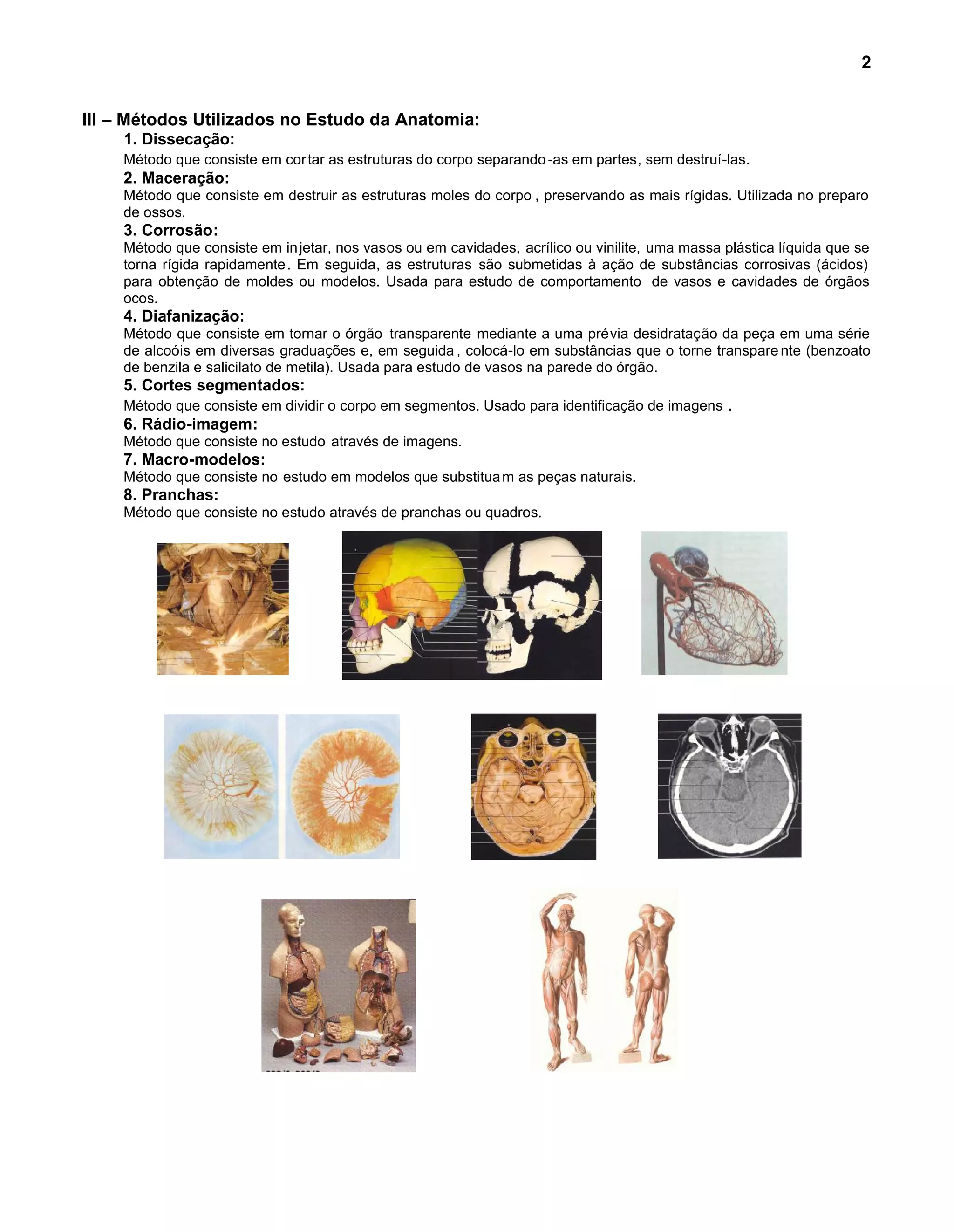 Introdução ao Estudo da Anatomia Humana | PDF