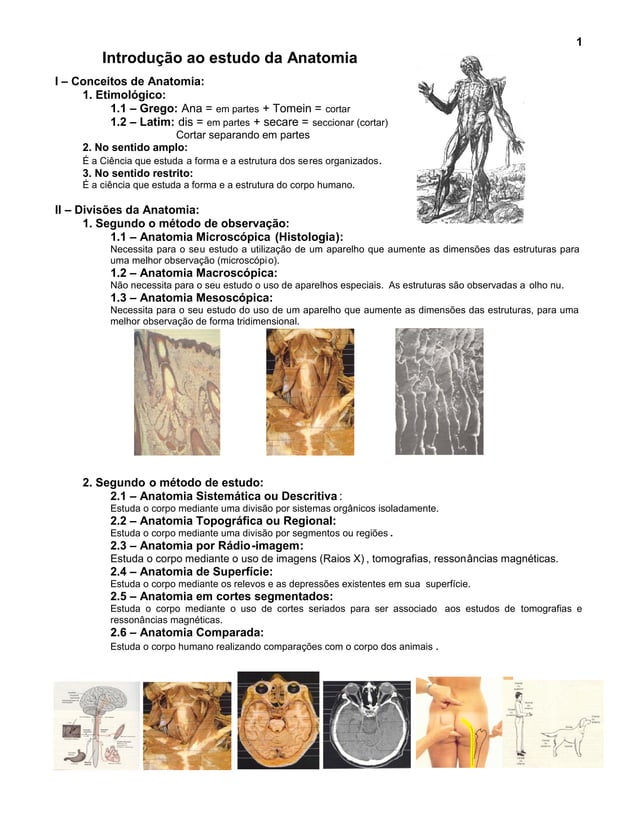 Introdução ao Estudo da Anatomia Humana | PDF