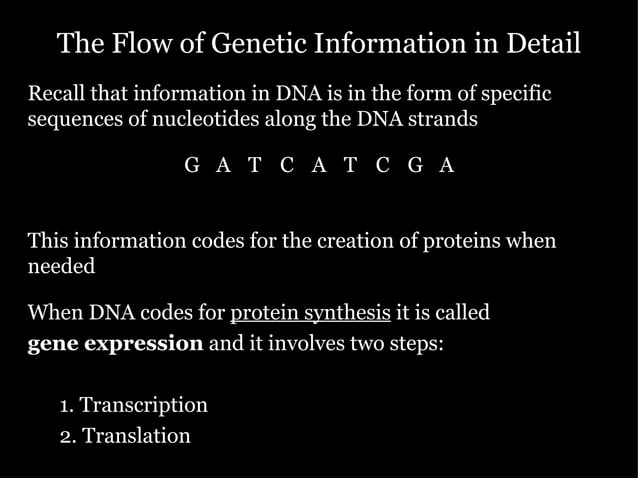 Introduction to DNA | PPT