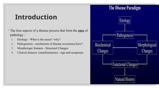 Introduction to pathophysiology for nurses.pptx | Free Download