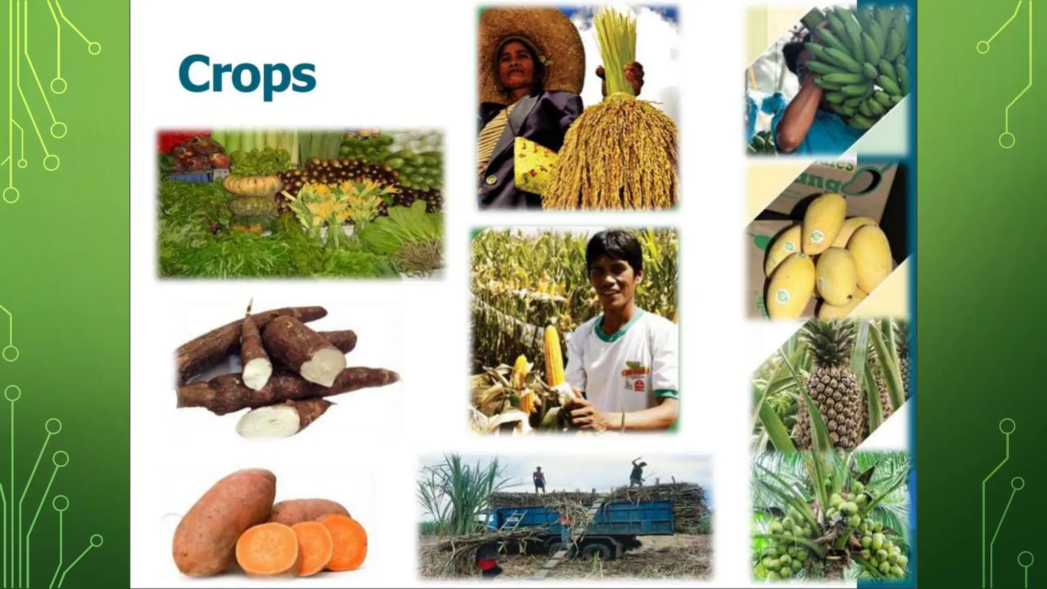 1-Introduction-to-Agricultural-Extension.pptx | Agriculture | Industries