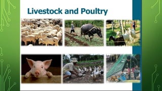 1-Introduction-to-Agricultural-Extension.pptx