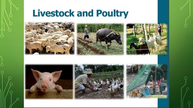 1-Introduction-to-Agricultural-Extension.pptx | Agriculture | Industries