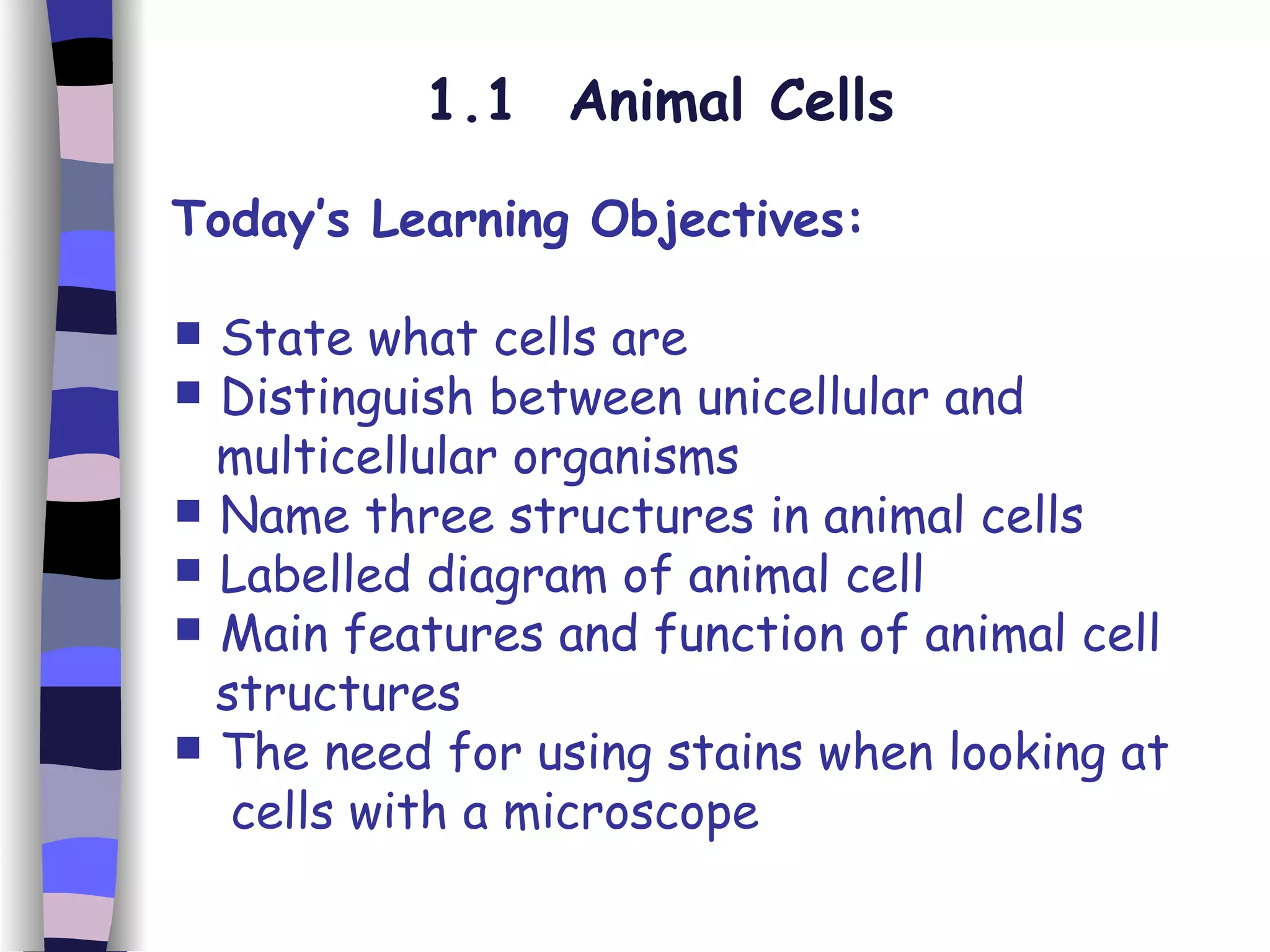 1. Introduction To Cells | PPT
