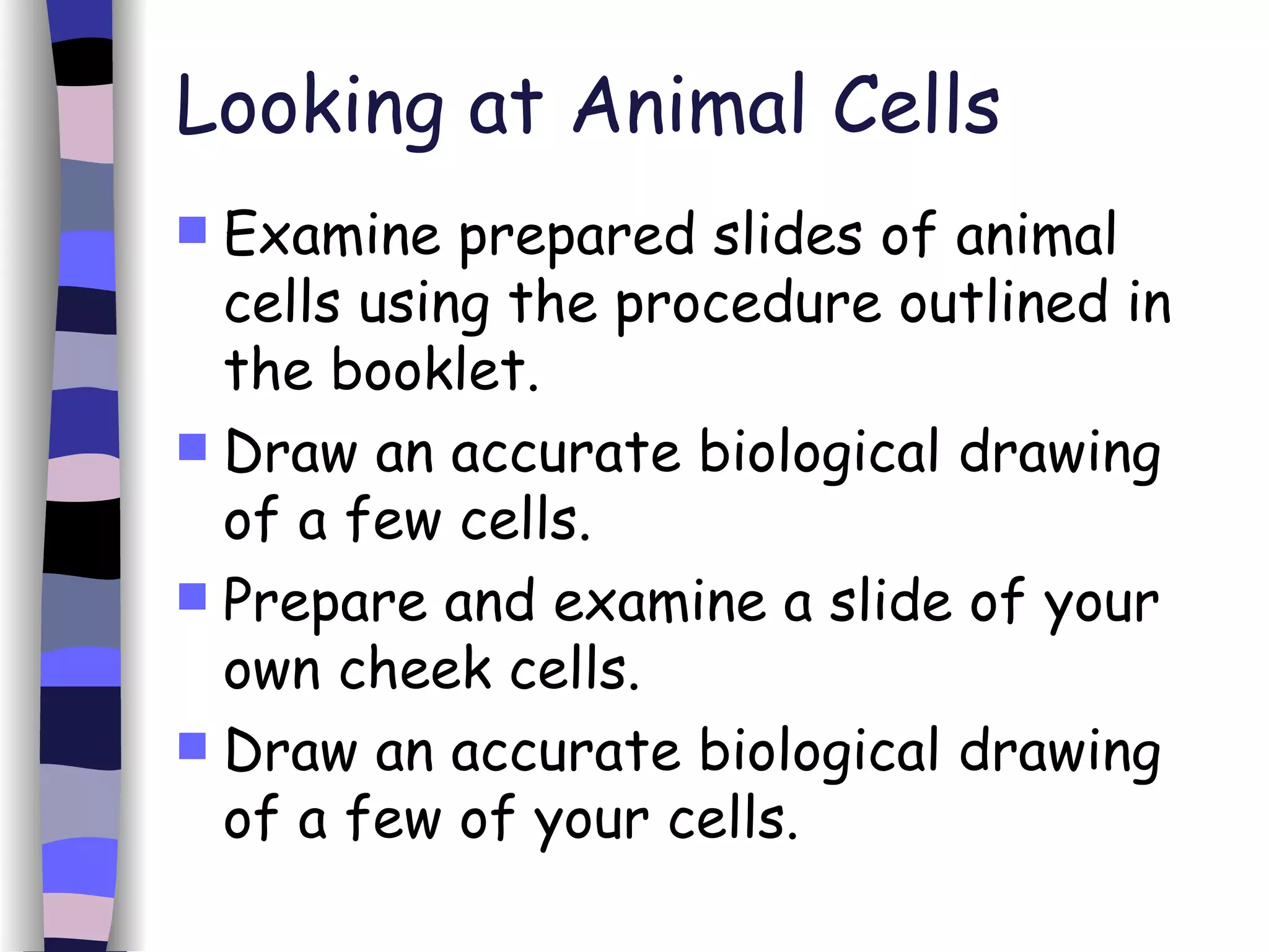 1. Introduction To Cells | PPT