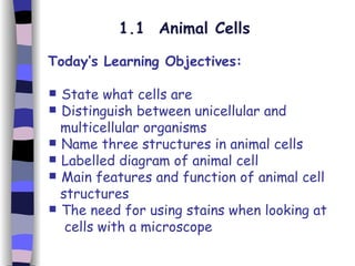 1. Introduction To Cells | PPT
