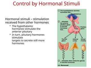 10-INTRODUCTION-TO-ENDOCRINE-SYSTEM.pptx