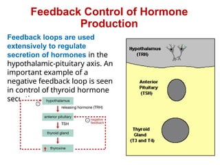 10-INTRODUCTION-TO-ENDOCRINE-SYSTEM.pptx