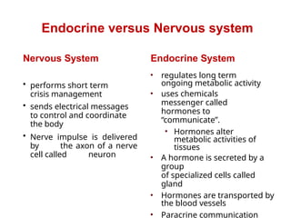 10-INTRODUCTION-TO-ENDOCRINE-SYSTEM.pptx
