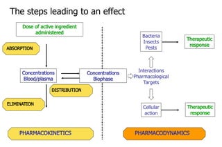 1-Introduction-to-pharmacokinetic pharmacodynamic | PPTX