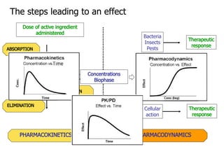 1-Introduction-to-pharmacokinetic pharmacodynamic | PPTX