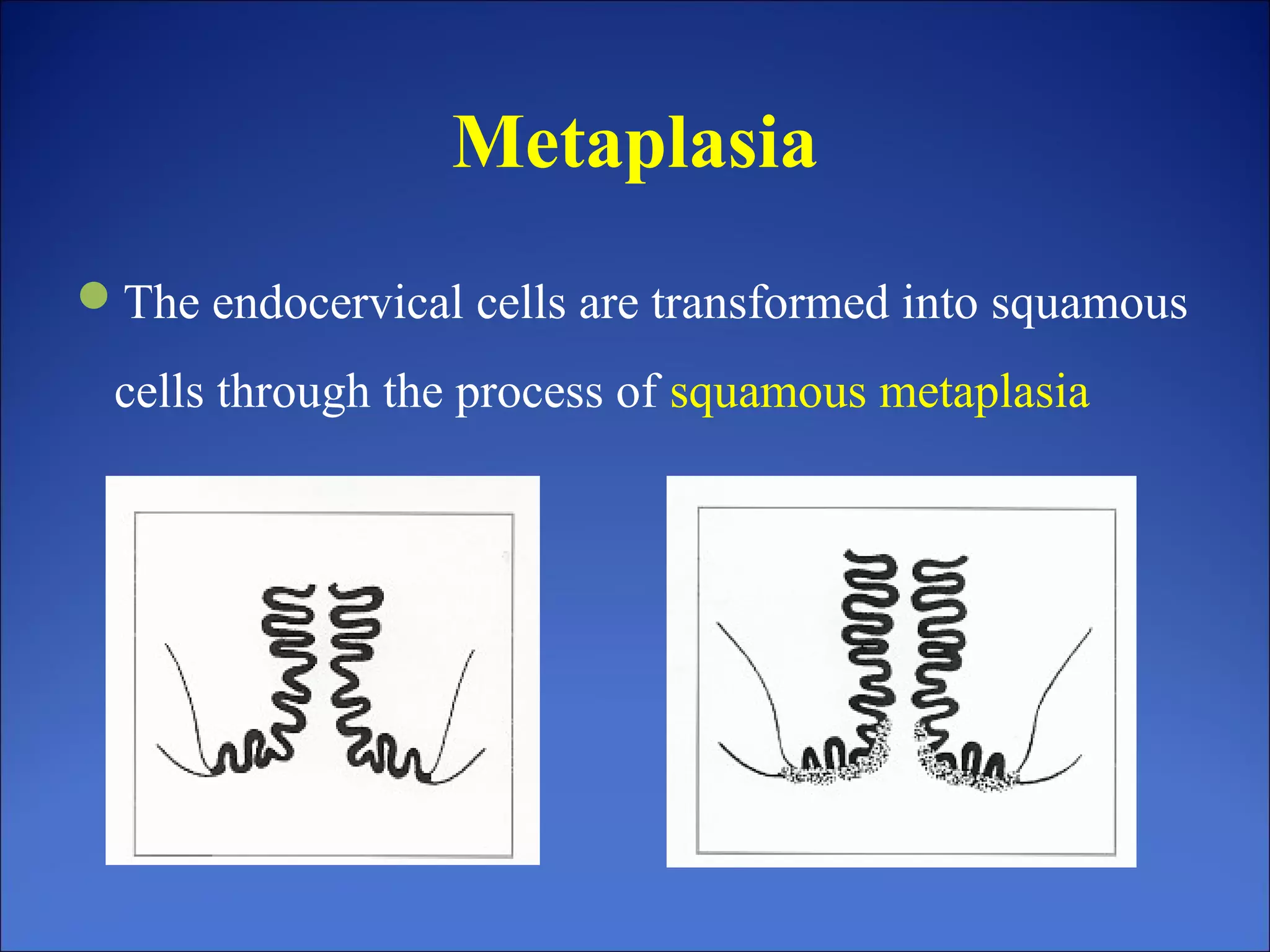 introduction of cytopathology | PPT