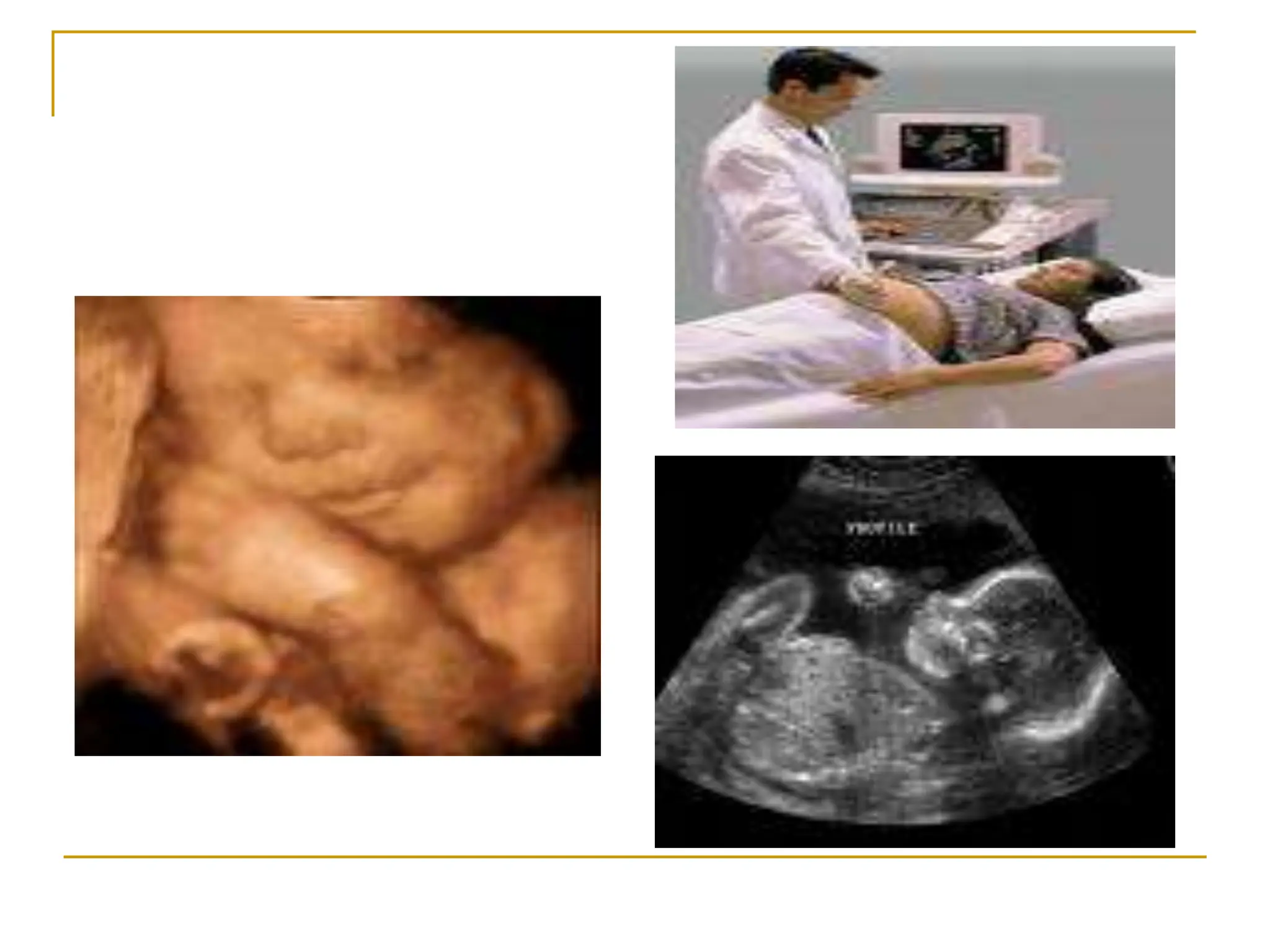 1 Introduction Radiology 1 Ppt Medical Tests Medical Health