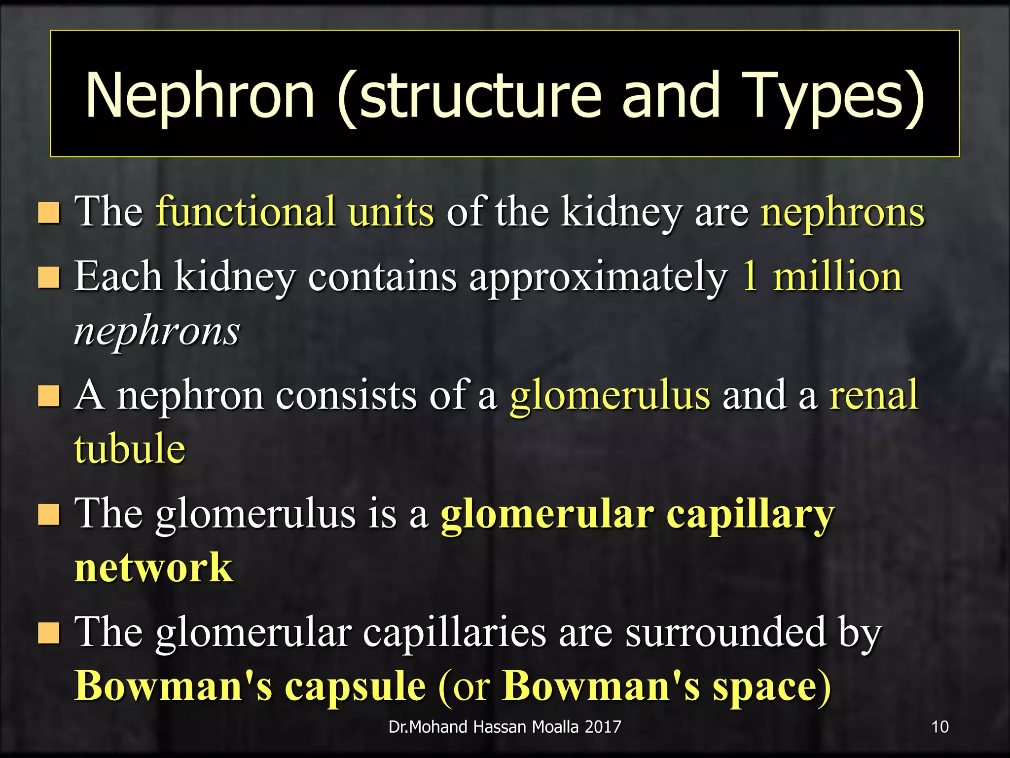 1-Introduction renal system.ppt