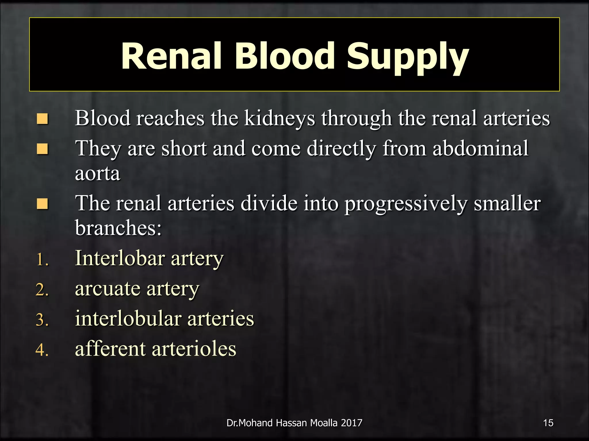 1-Introduction renal system.ppt