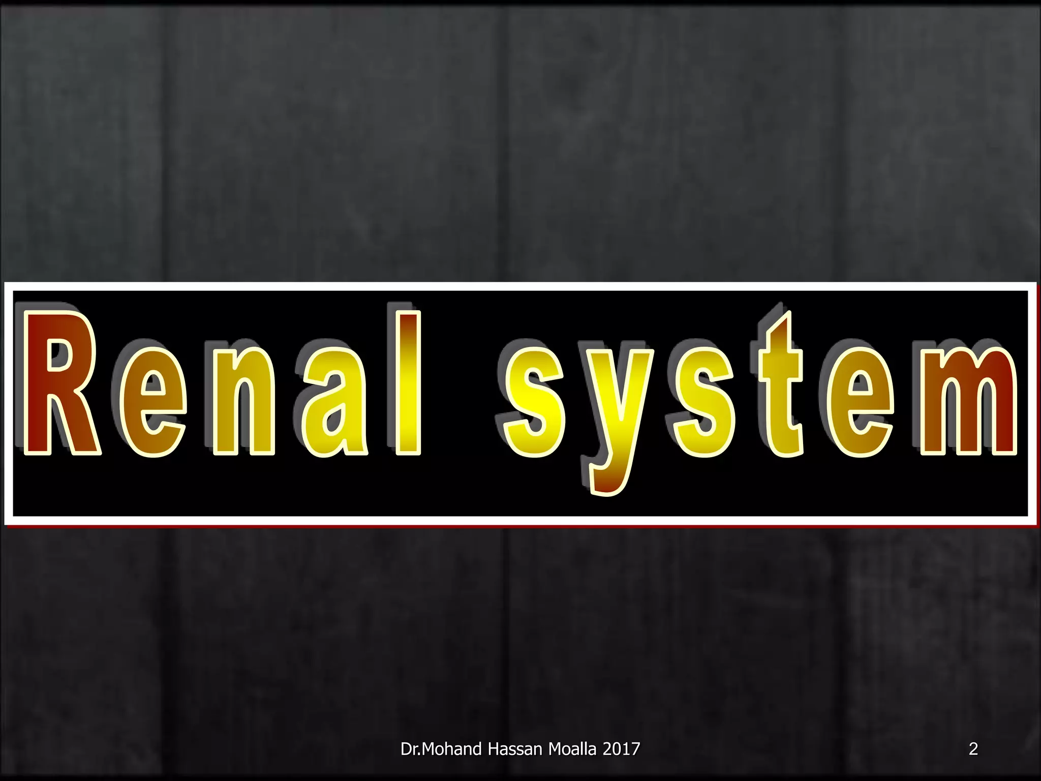 1-Introduction renal system.ppt