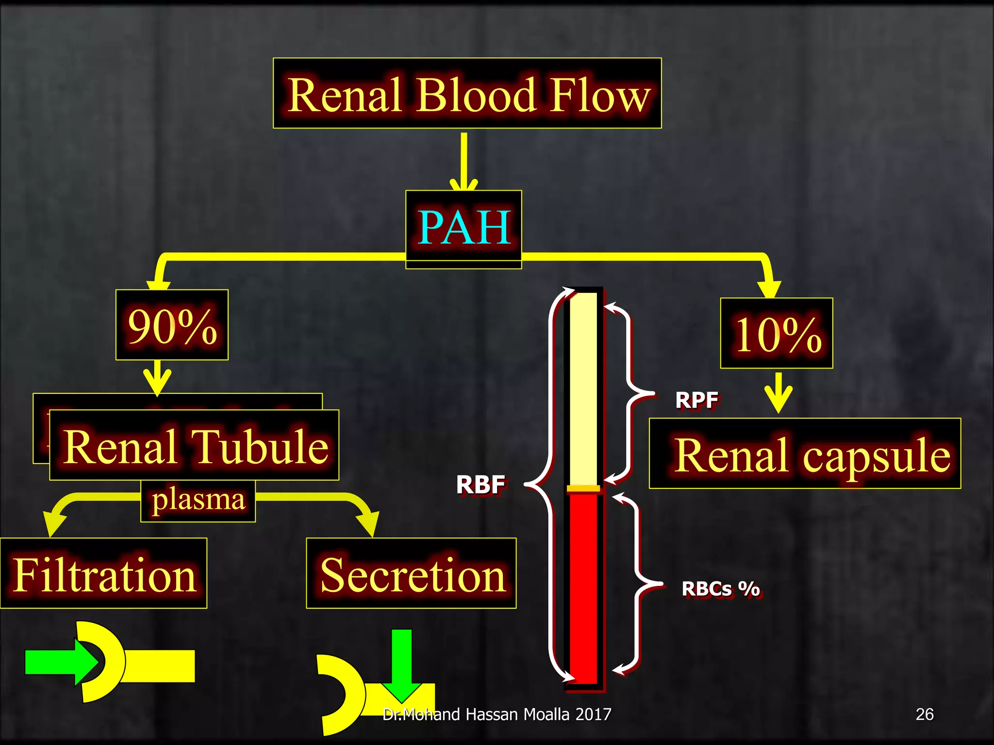 1-Introduction renal system.ppt