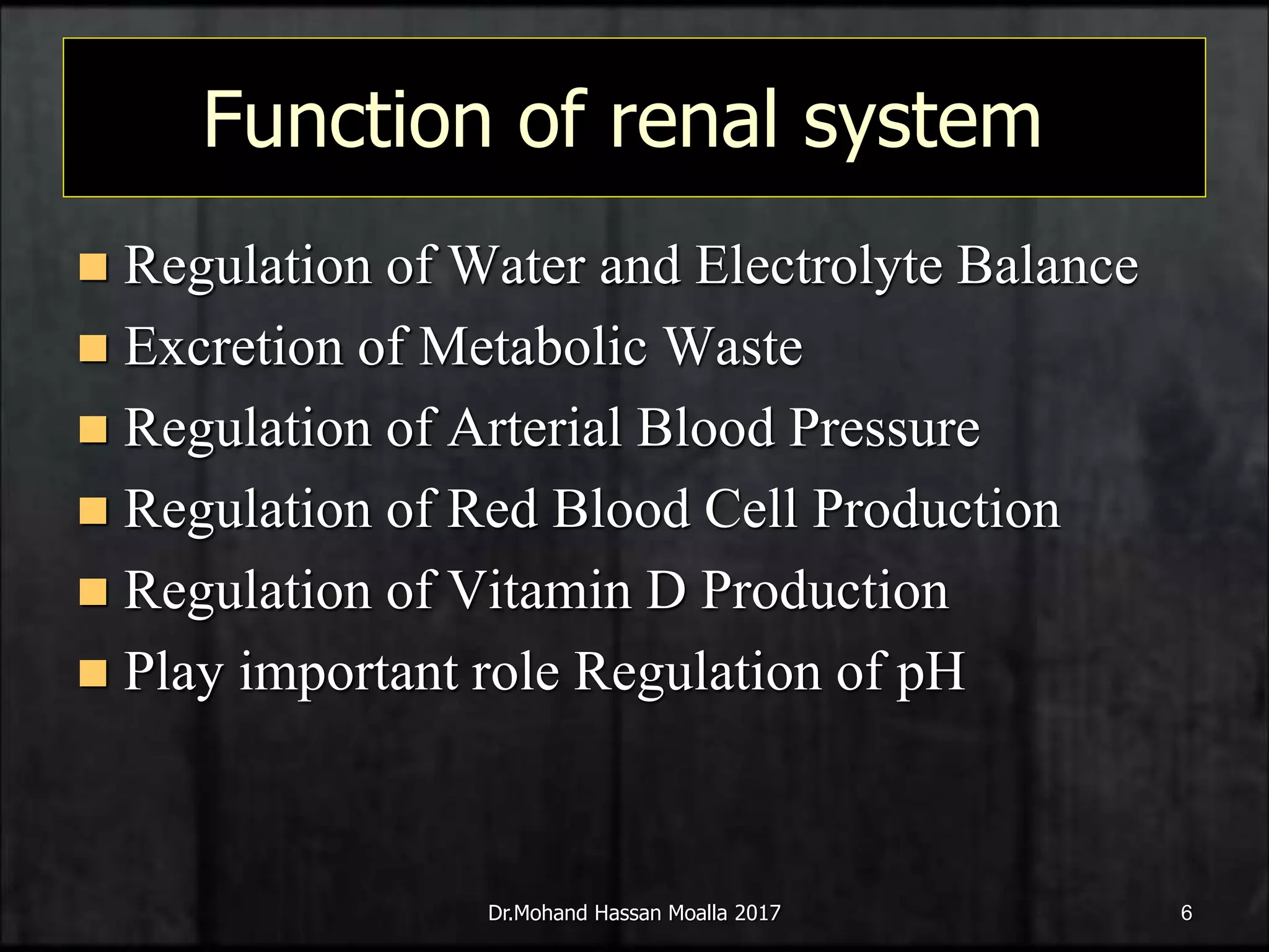 1-Introduction renal system.ppt