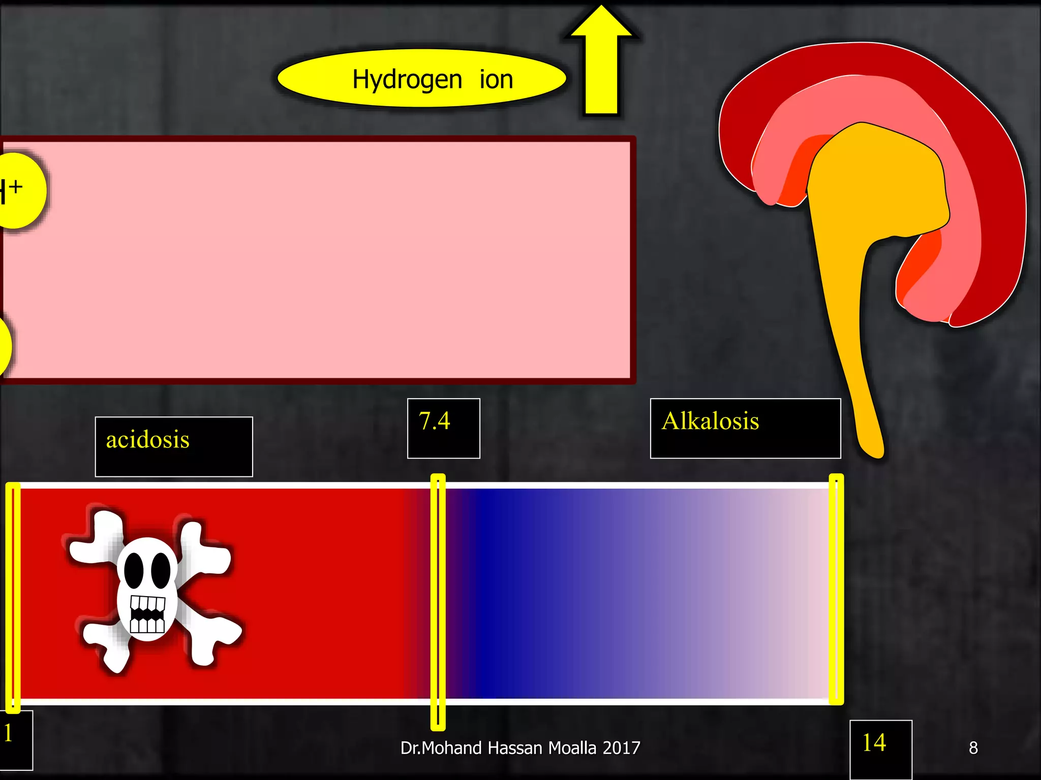 1-Introduction renal system.ppt