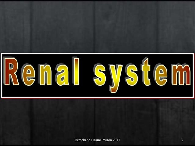 1-Introduction renal system.ppt