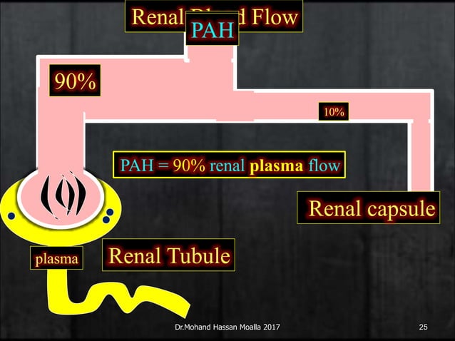 1-Introduction renal system.ppt