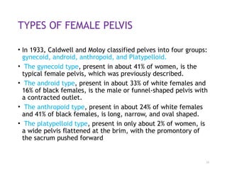 1 - Introduction to Anatomy of Pelvis.pptx