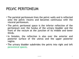 1 - Introduction to Anatomy of Pelvis.pptx