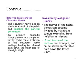 1 - Introduction to Anatomy of Pelvis.pptx
