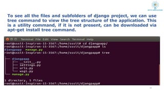 1-_Introduction_To_Django_Model_and_Database (1).pptx
