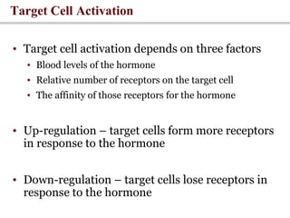 1-Introduction to Endcrine System Endocrine Disorder | PPT