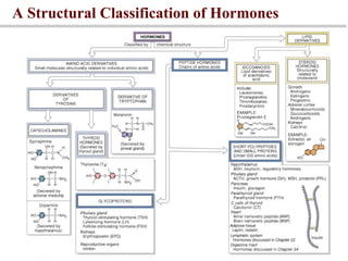 1-Introduction to Endocrine - systems.ppt
