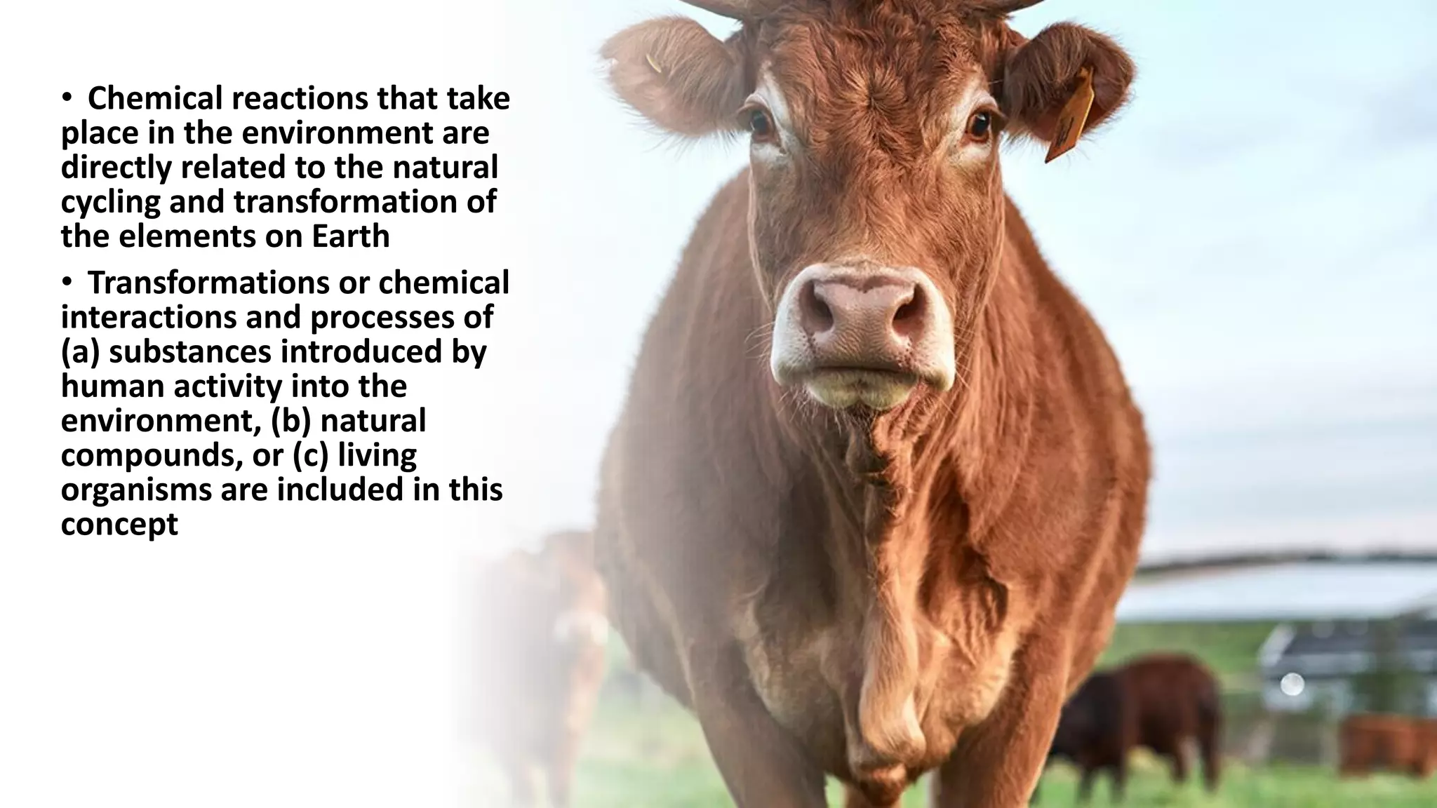 1 -Introduction to Environmental Chemistry.pdf