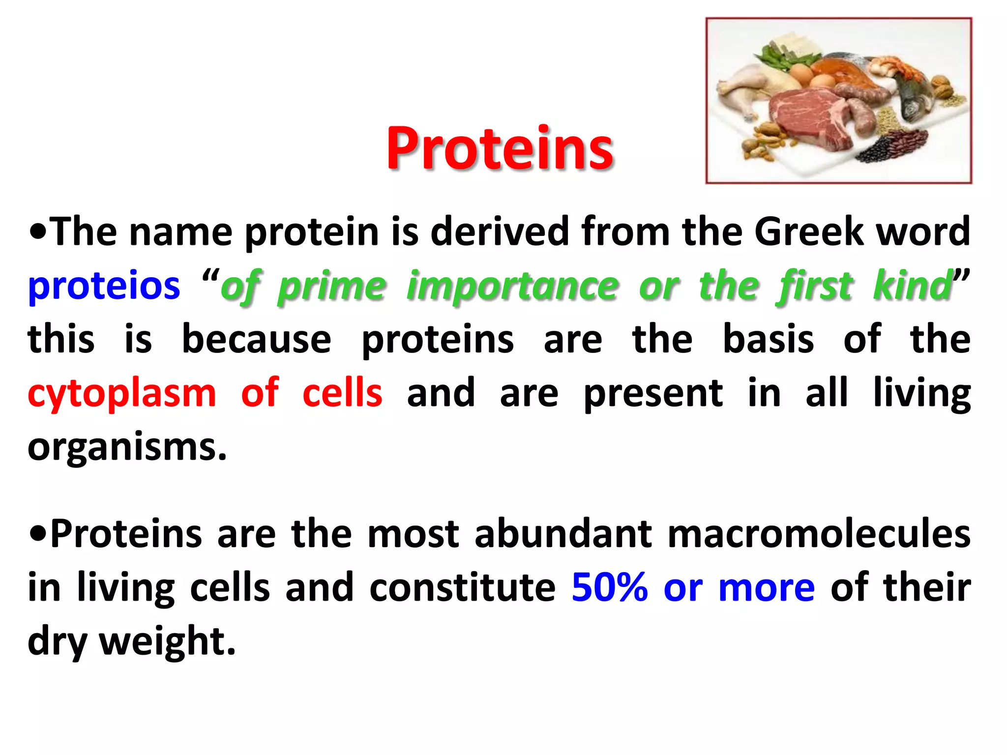 Introduction to Food Proteins | PDF
