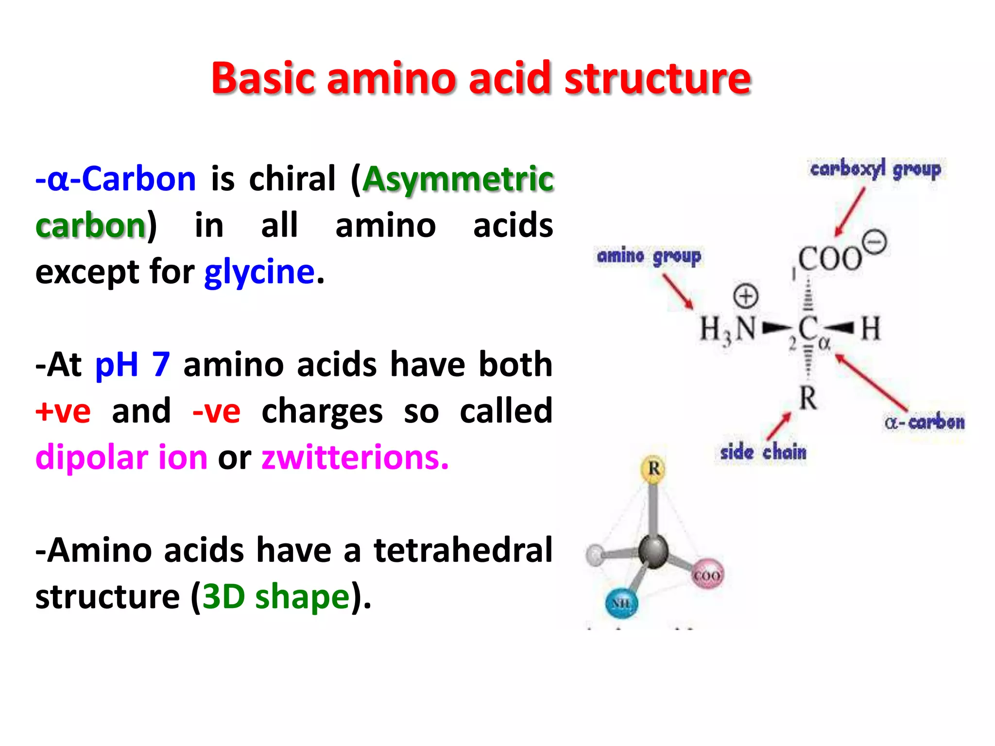 Introduction to Food Proteins | PDF