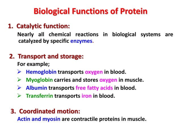Introduction to Food Proteins | PDF | Chemistry | Science