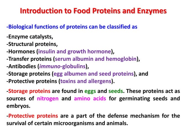Introduction to Food Proteins | PDF | Chemistry | Science