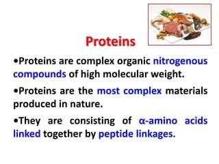 Examples Of Proteins