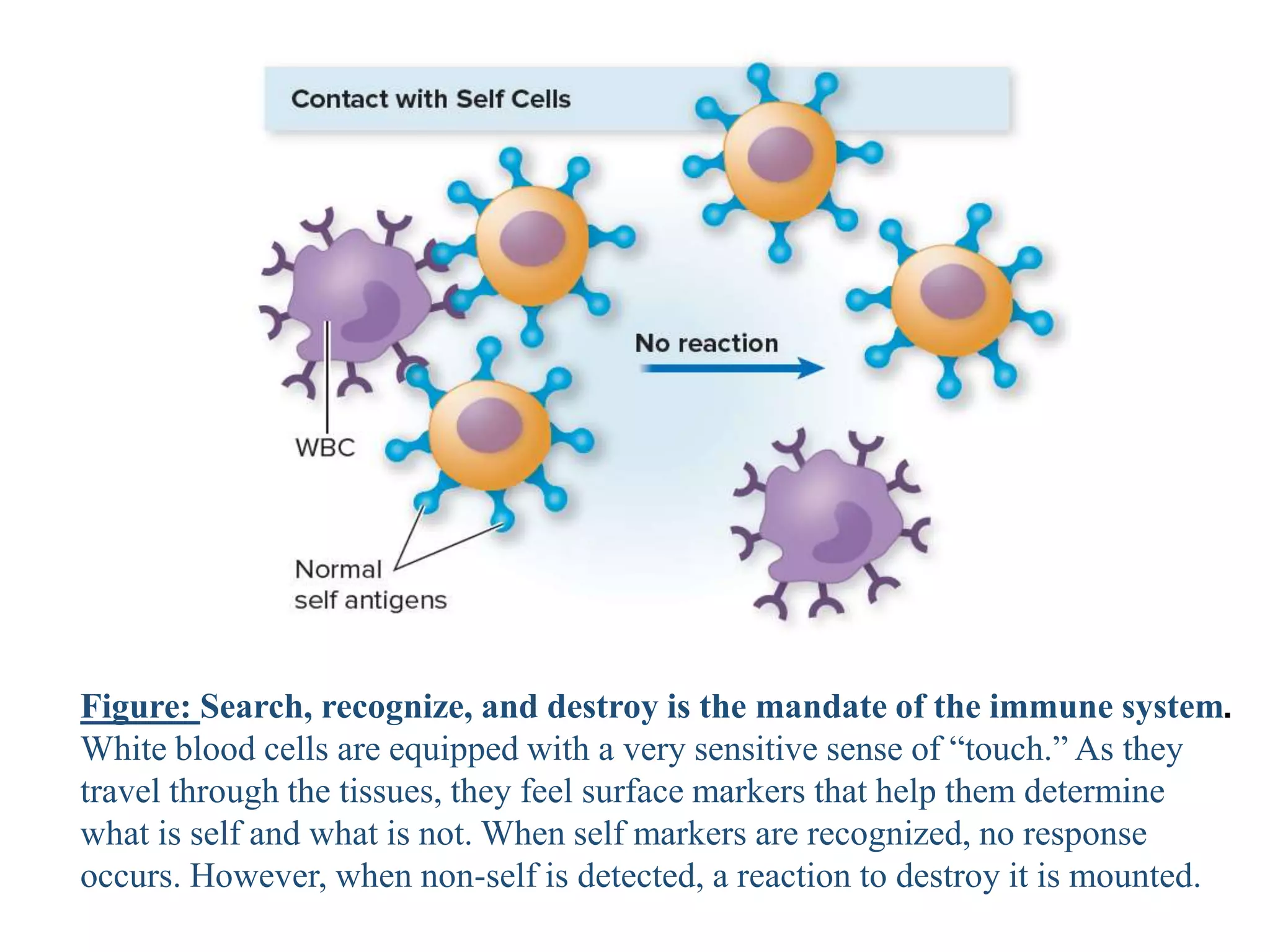 Introduction to Immunology | PPT