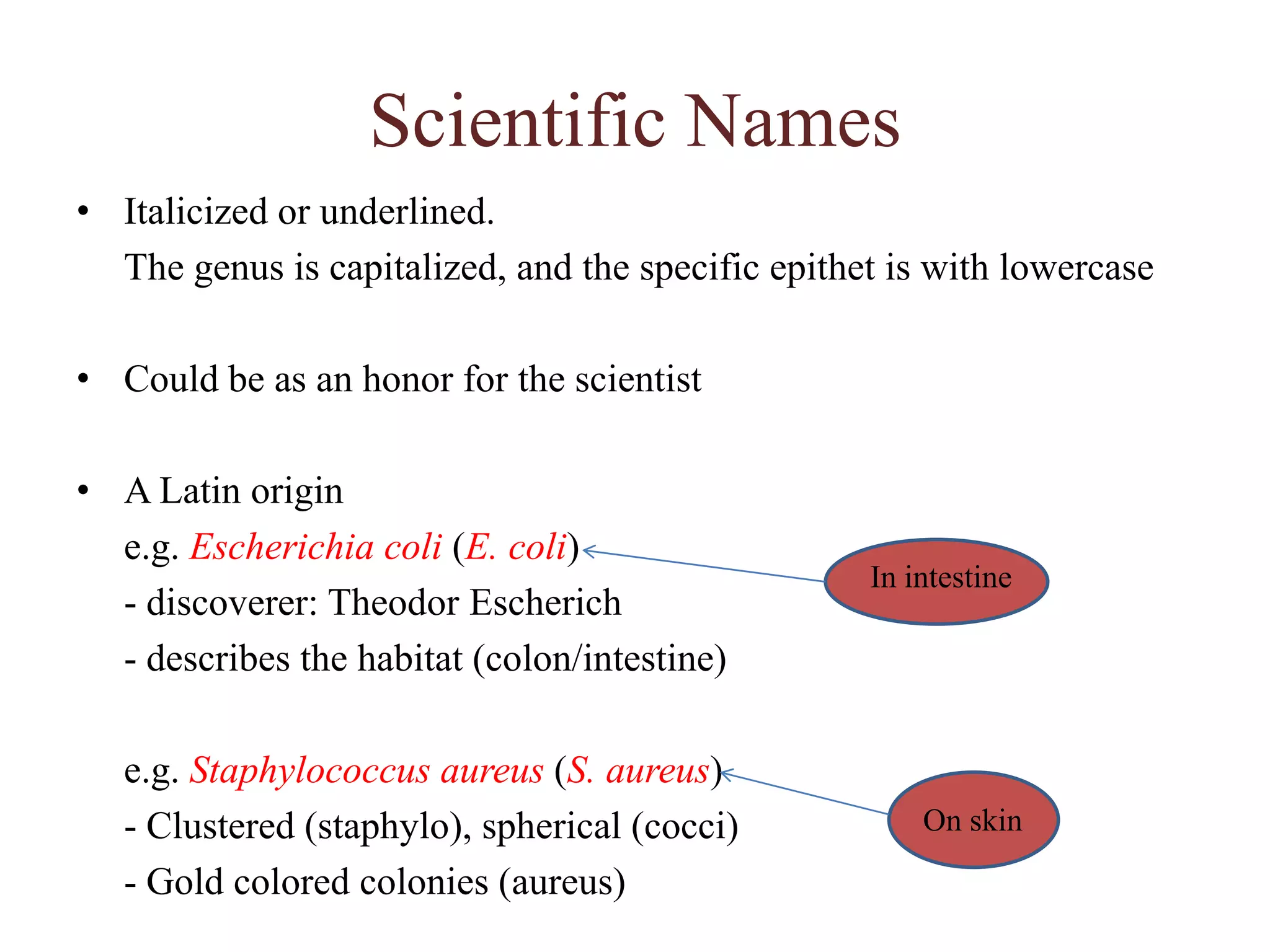 1 introduction to microbiology | PPTX